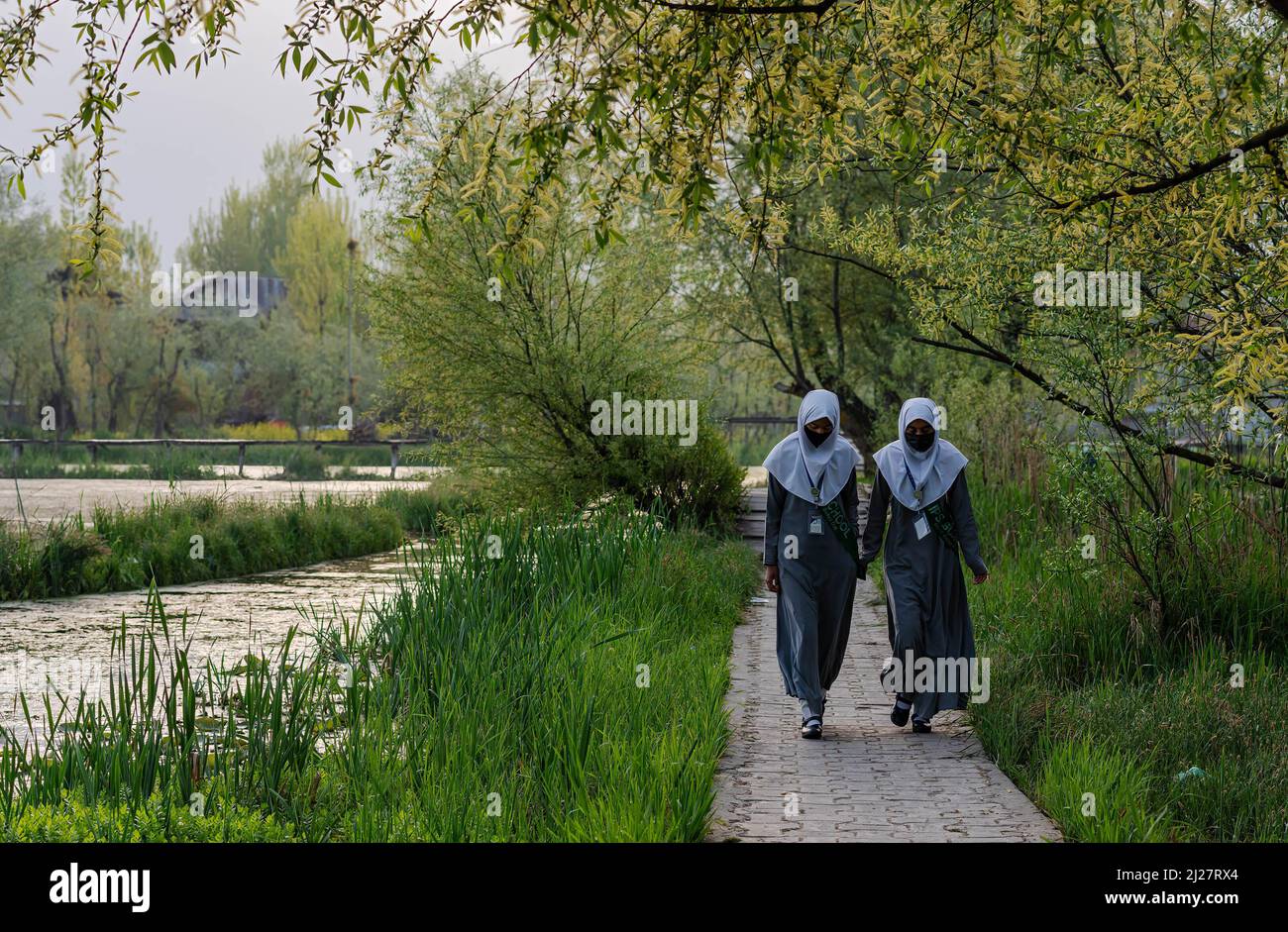 Students walk during an early spring morning in the interiors of Dal ...