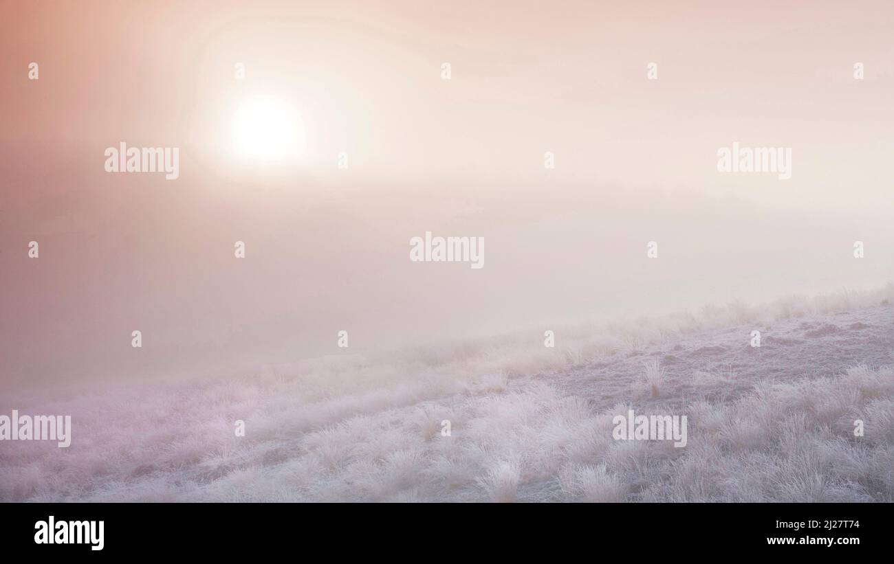 Sunrise subdued light caused by fog and mist in winter Cannock Chase ...