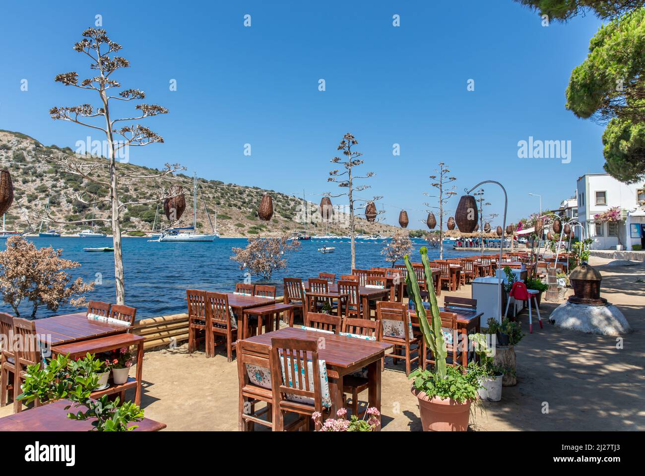 Bougainvillea bodrum hi-res stock photography and images - Alamy