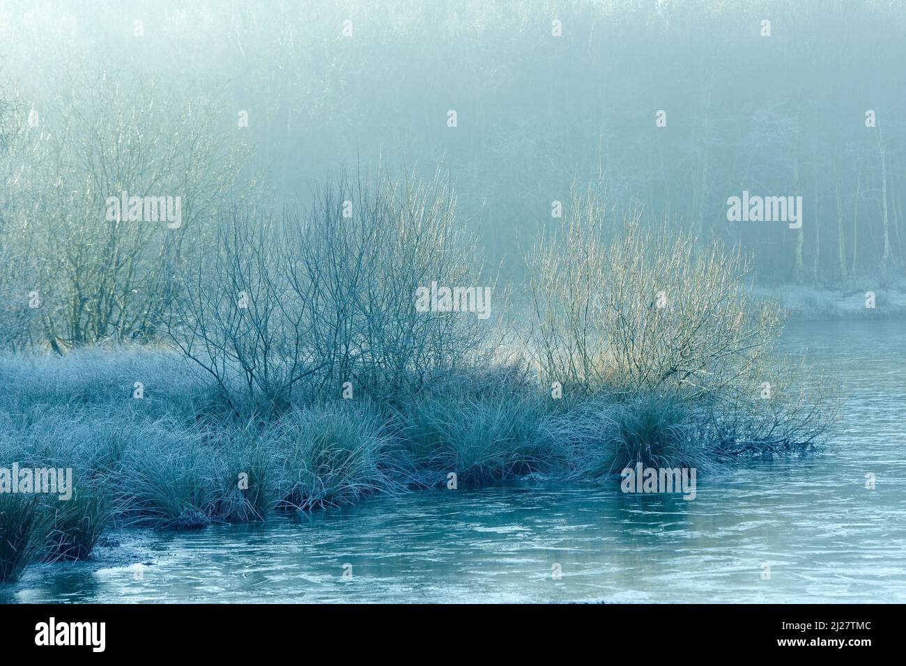 Winter landscape scene on Cannock Chase Area of Outstanding Natural ...