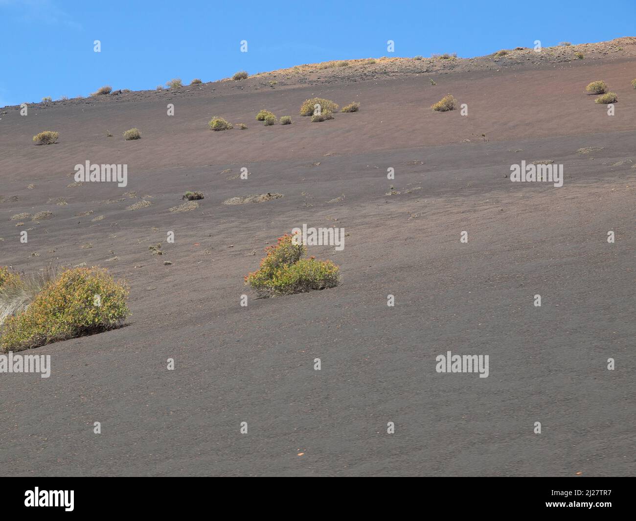 the spanish island of lanzarote Stock Photo - Alamy