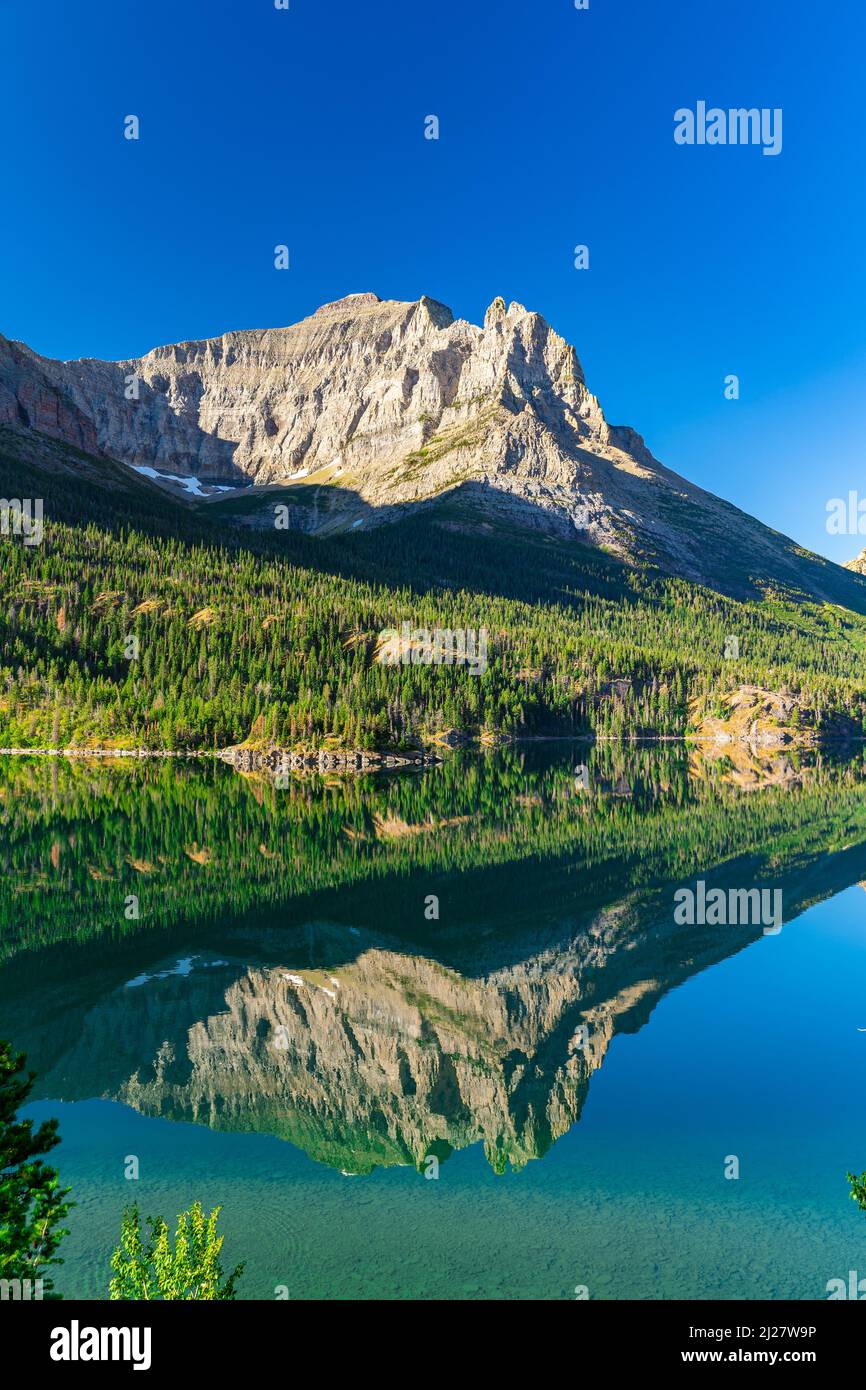 A vertical landscape of a high mountain with green forest near the ...
