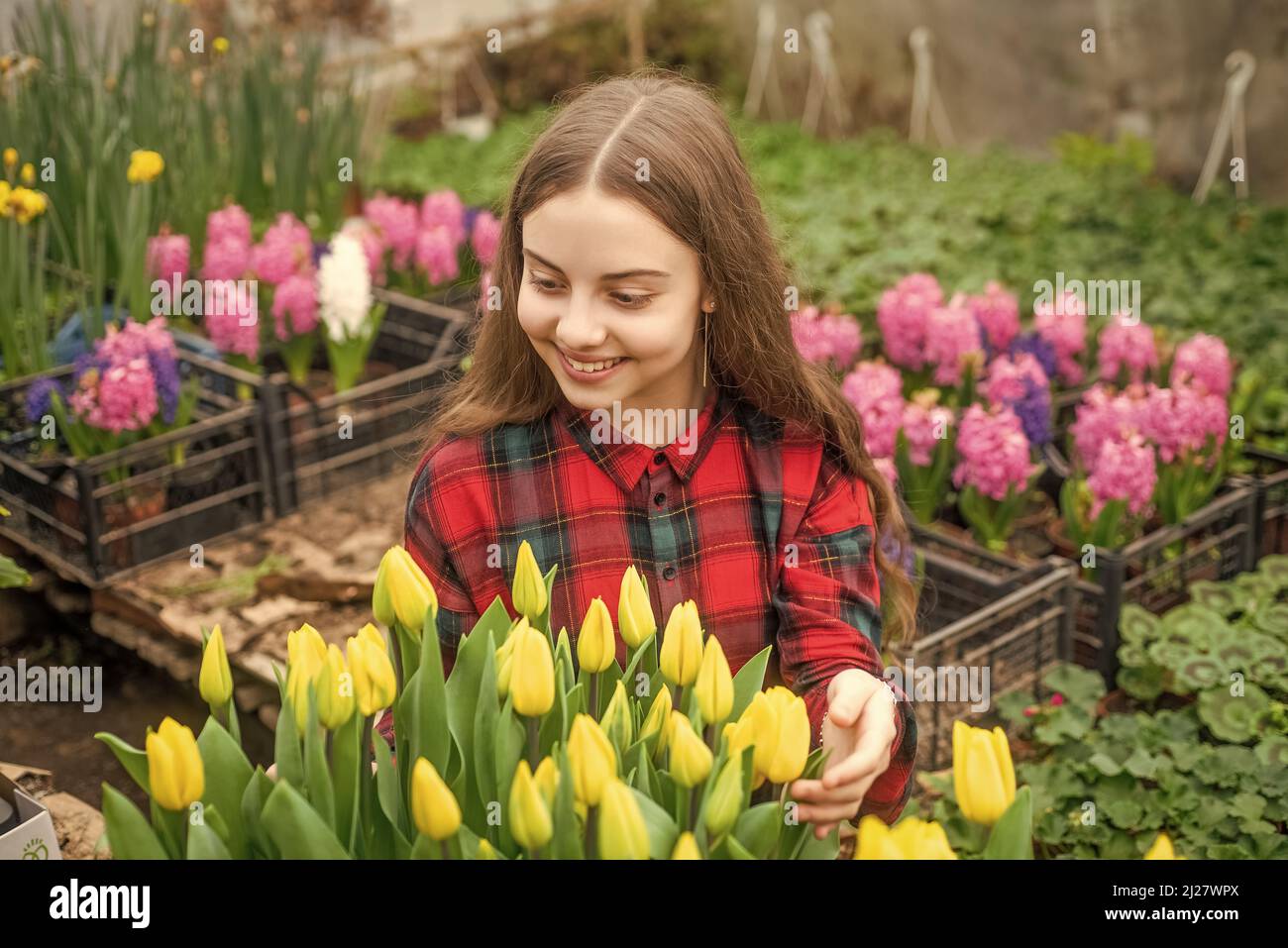 Geodome home hi-res stock photography and images - Alamy