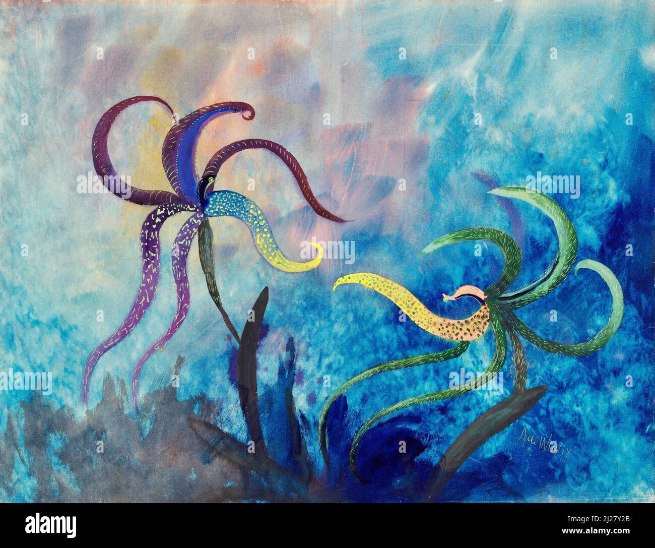 Fighting Orchids - Janus de Winter - 1917 Stock Photo - Alamy