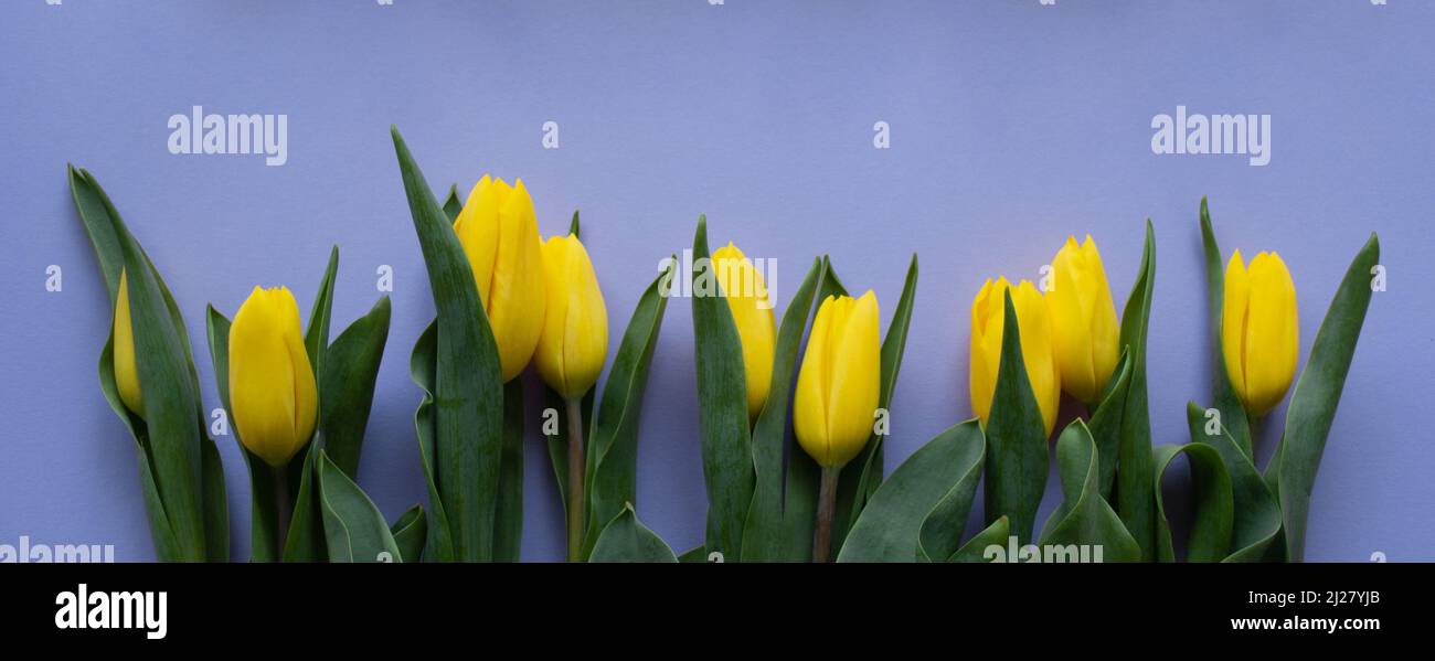 Very peri background hi-res stock photography and images - Alamy