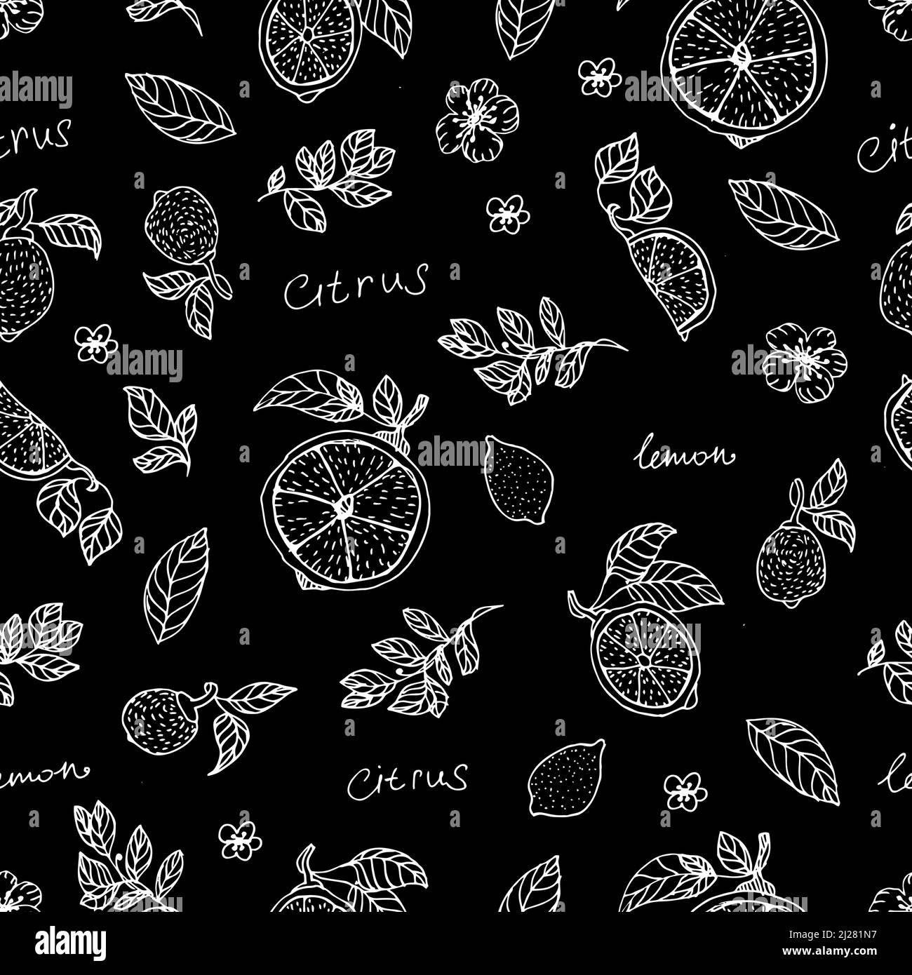 Vector seamless pattern with lemon, leaves and flower. Citrus line ...