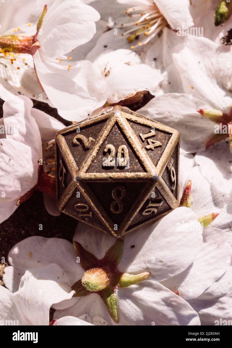 Close-up image of a metal 20-sided role-playing die surrounded by ...