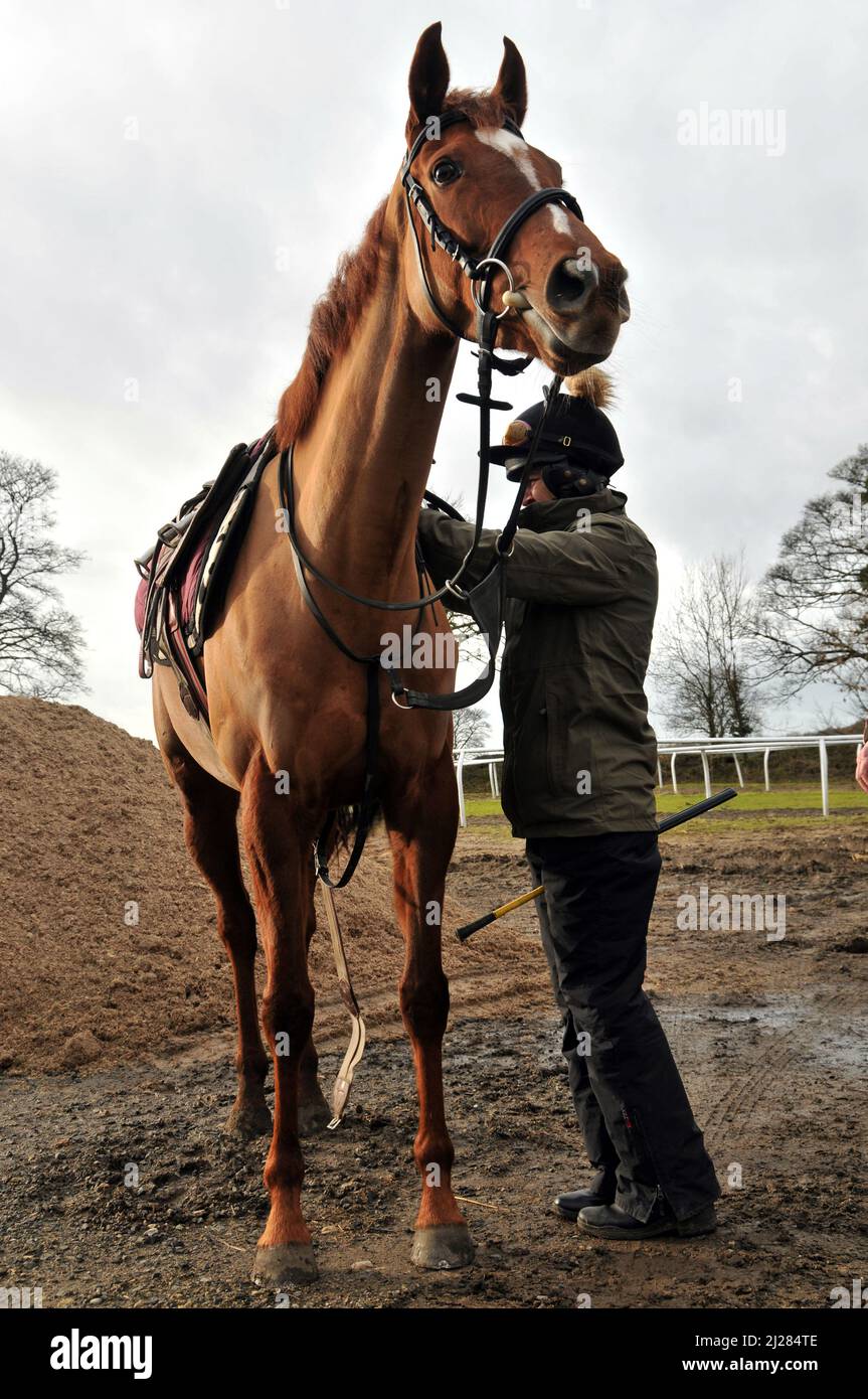 Prehistoric horse rider hi-res stock photography and images - Alamy