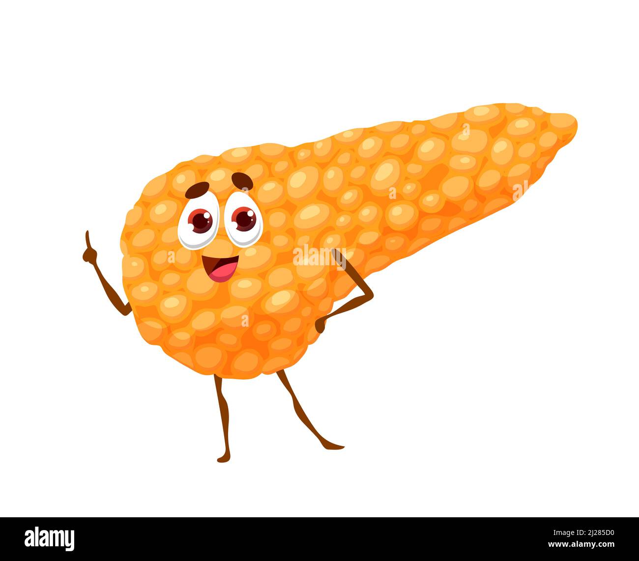 Human funny cartoon pancreas character, body and anatomy organ with ...
