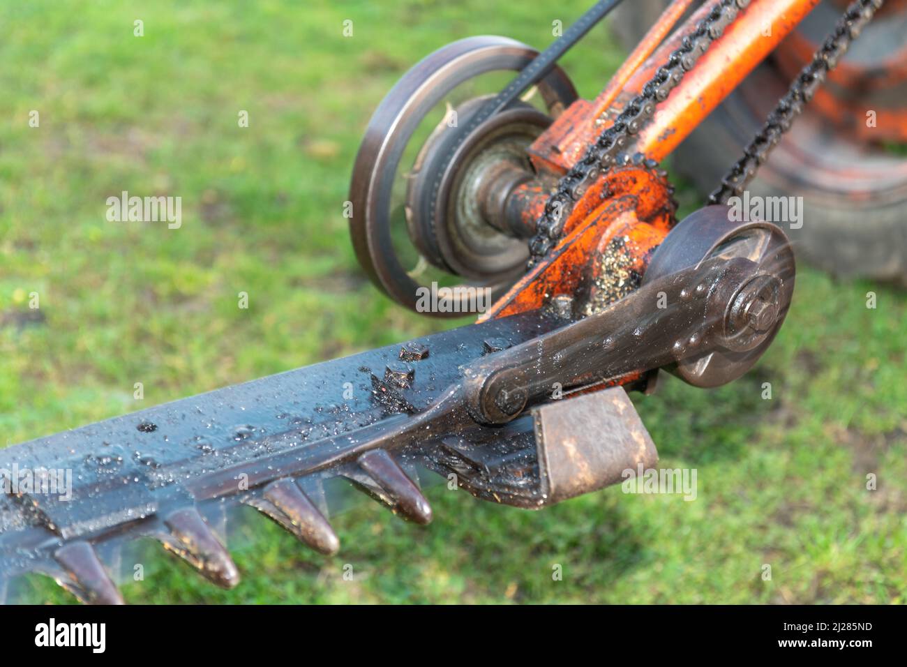 Cutter bar hedge trimmer hi-res stock photography and images - Alamy