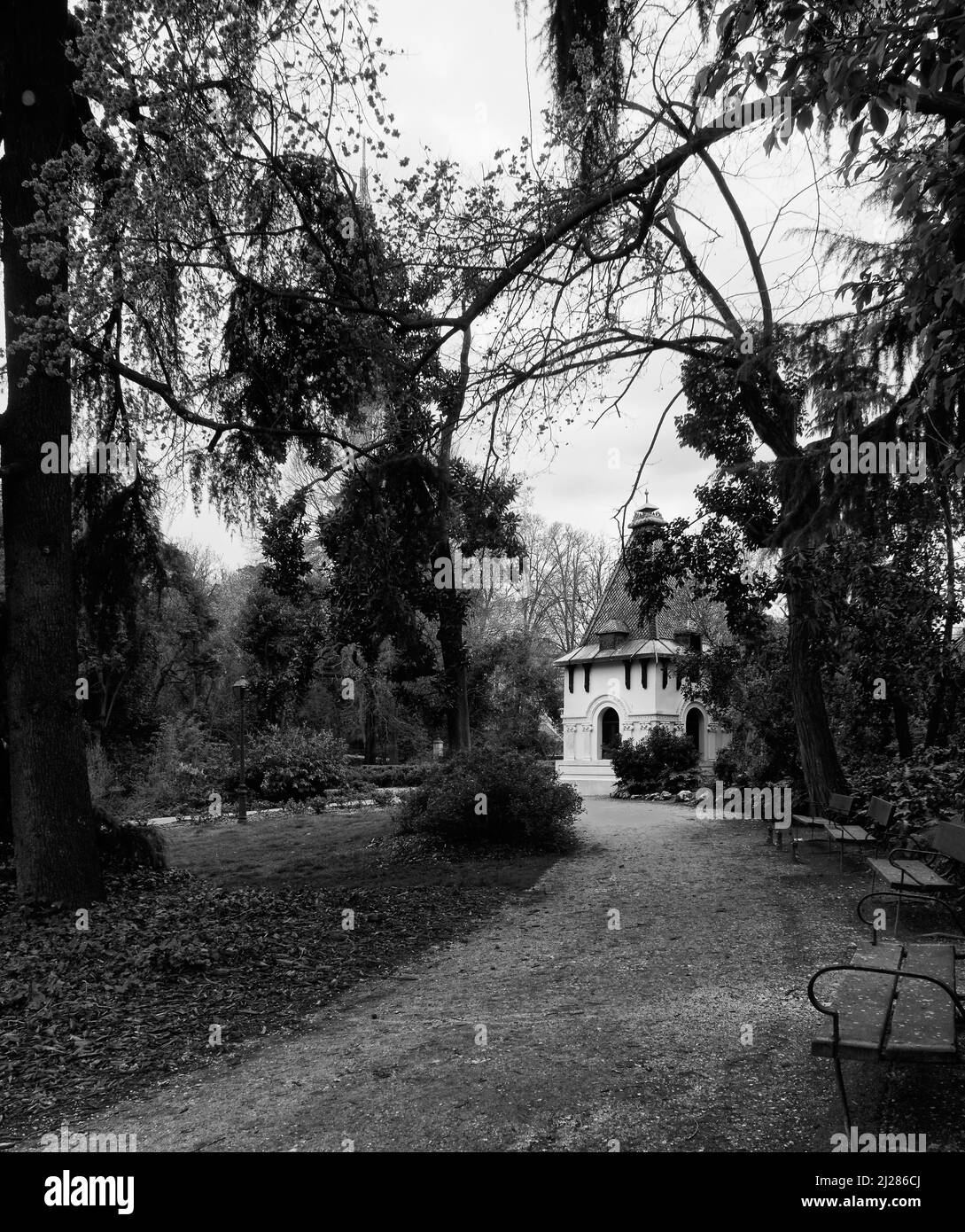 Landscape of a park in black and white with a path. a row of benches ...
