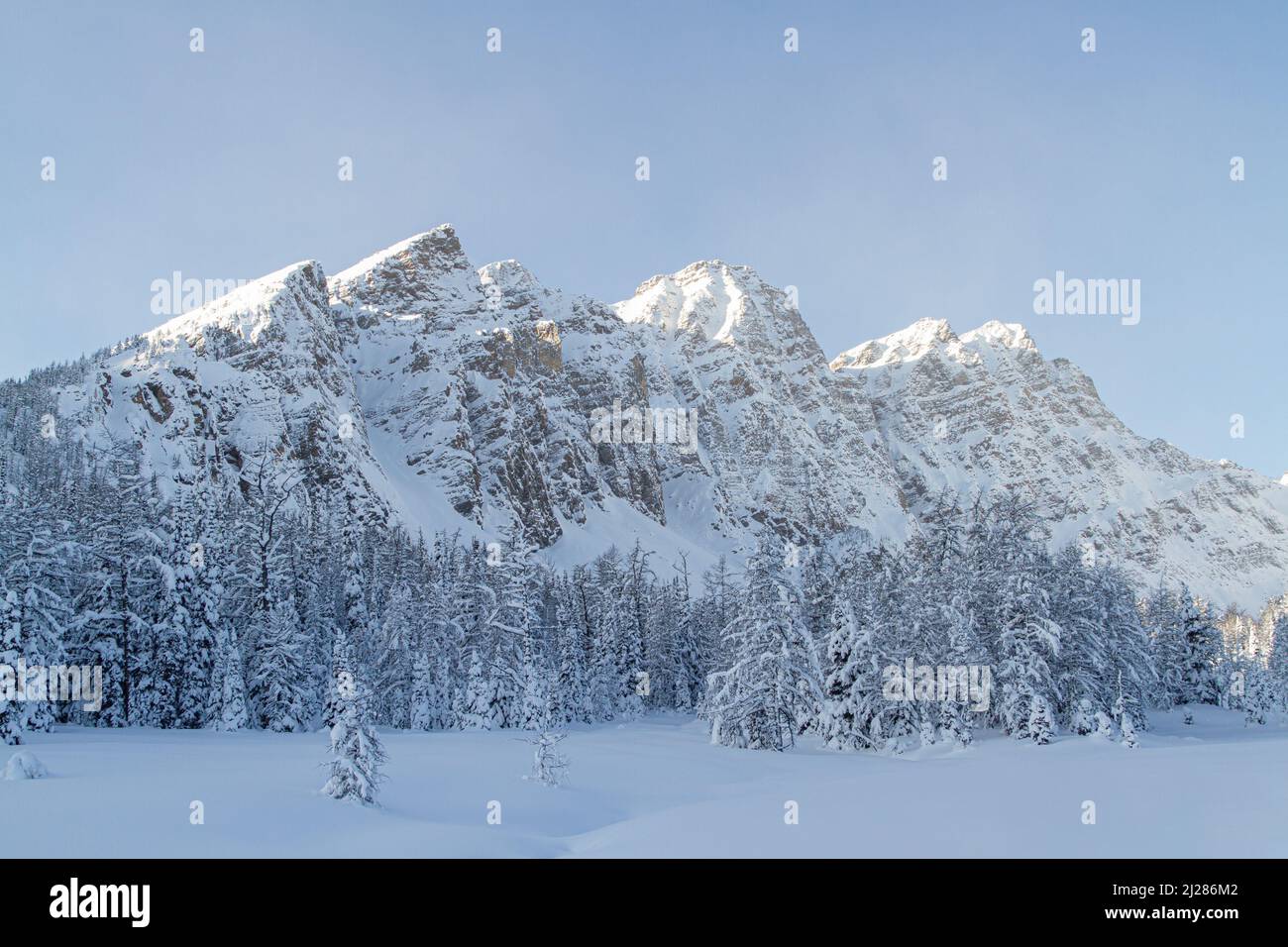 A view of snowy mountains and trees at Banff National Park in Alberta ...