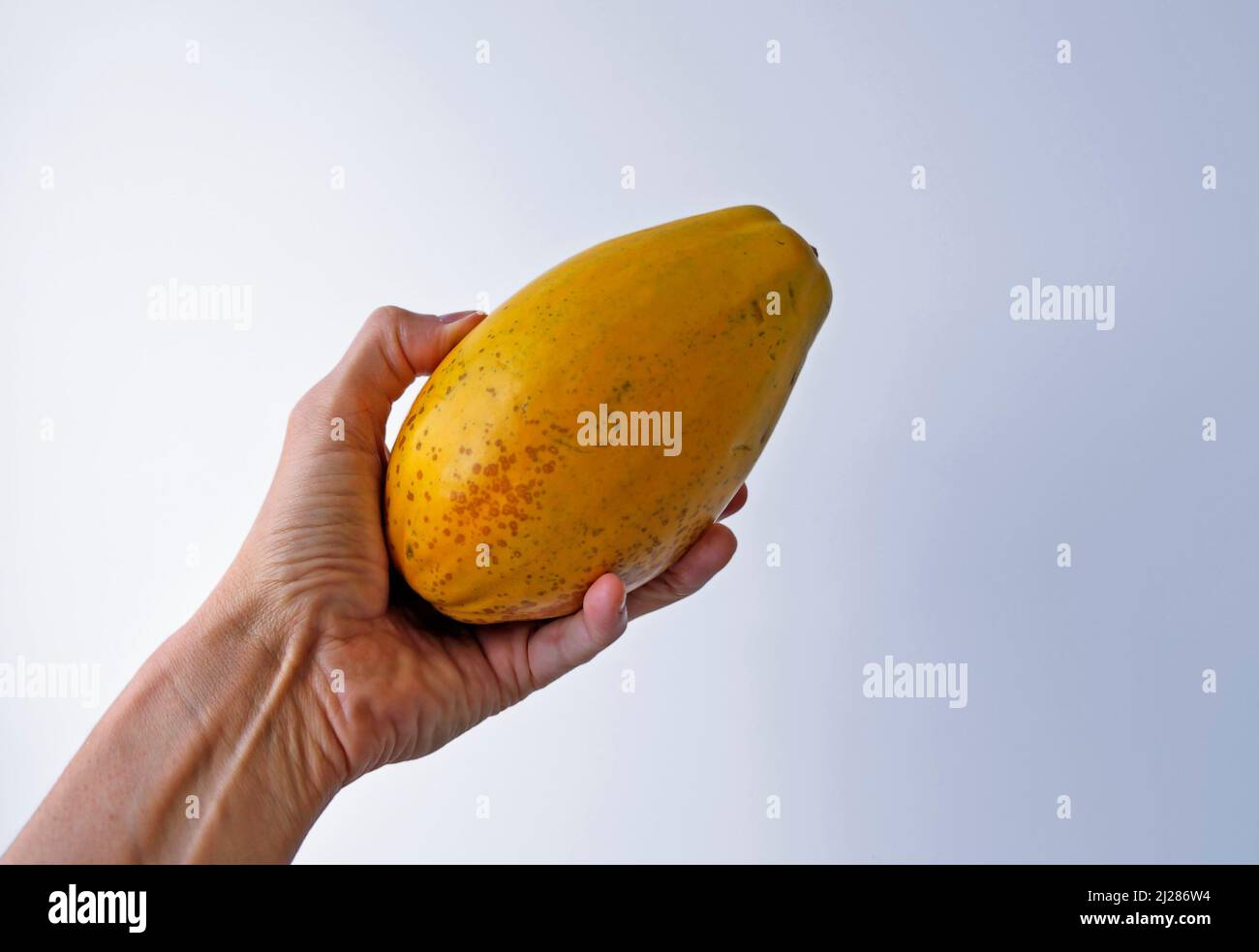 Papaya on hand in a bright background Stock Photo - Alamy