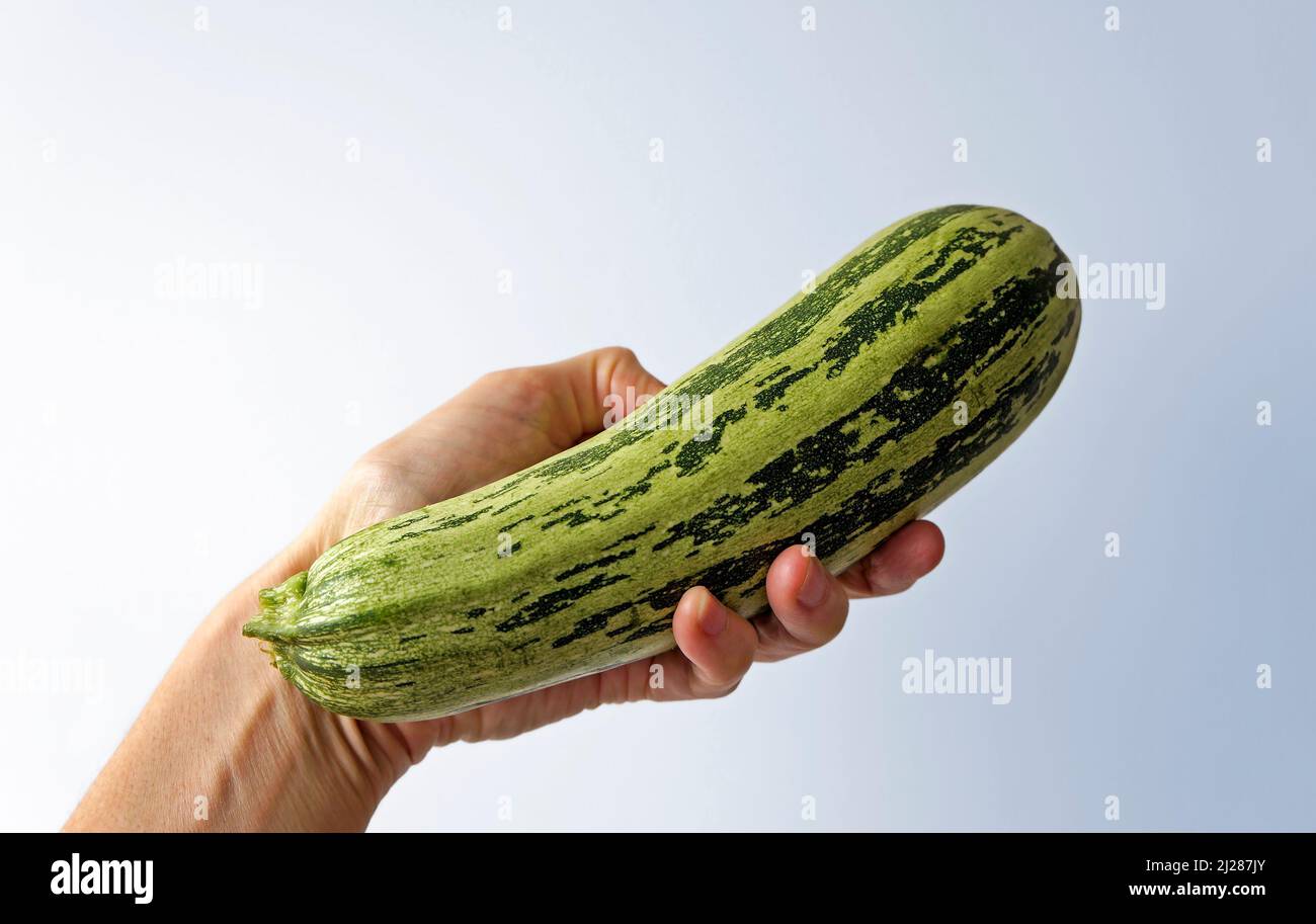 Zucchini on hand in a bright background Stock Photo - Alamy