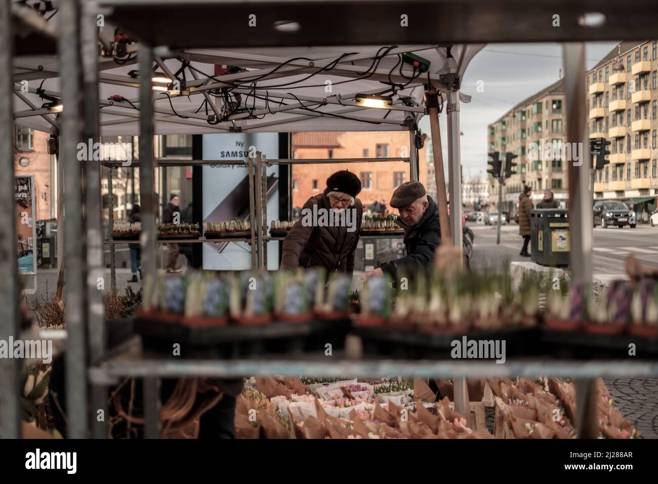 Pictures of daily life in Copenhagen, the capital city of Denmark Stock ...