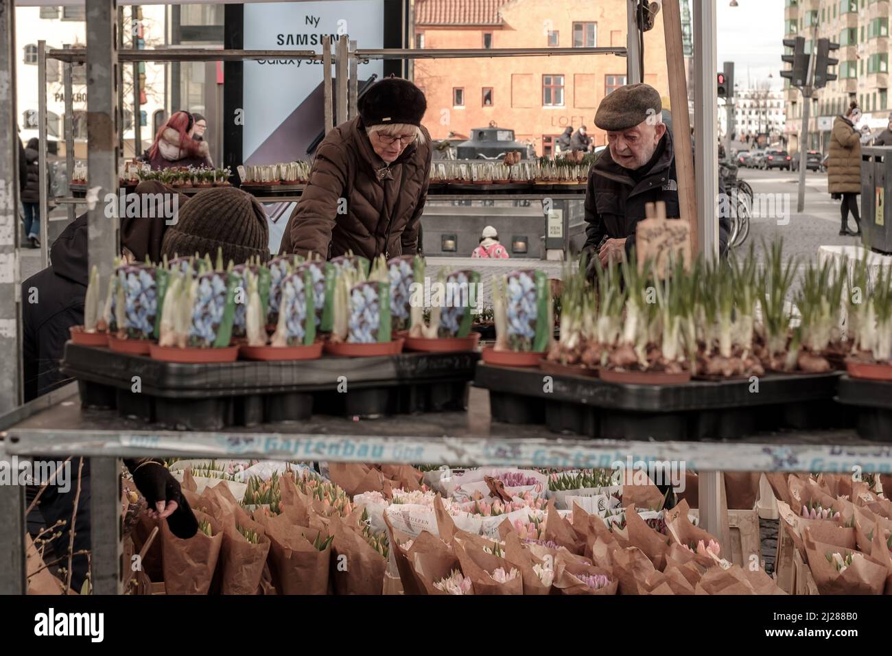Pictures of daily life in Copenhagen, the capital city of Denmark Stock ...