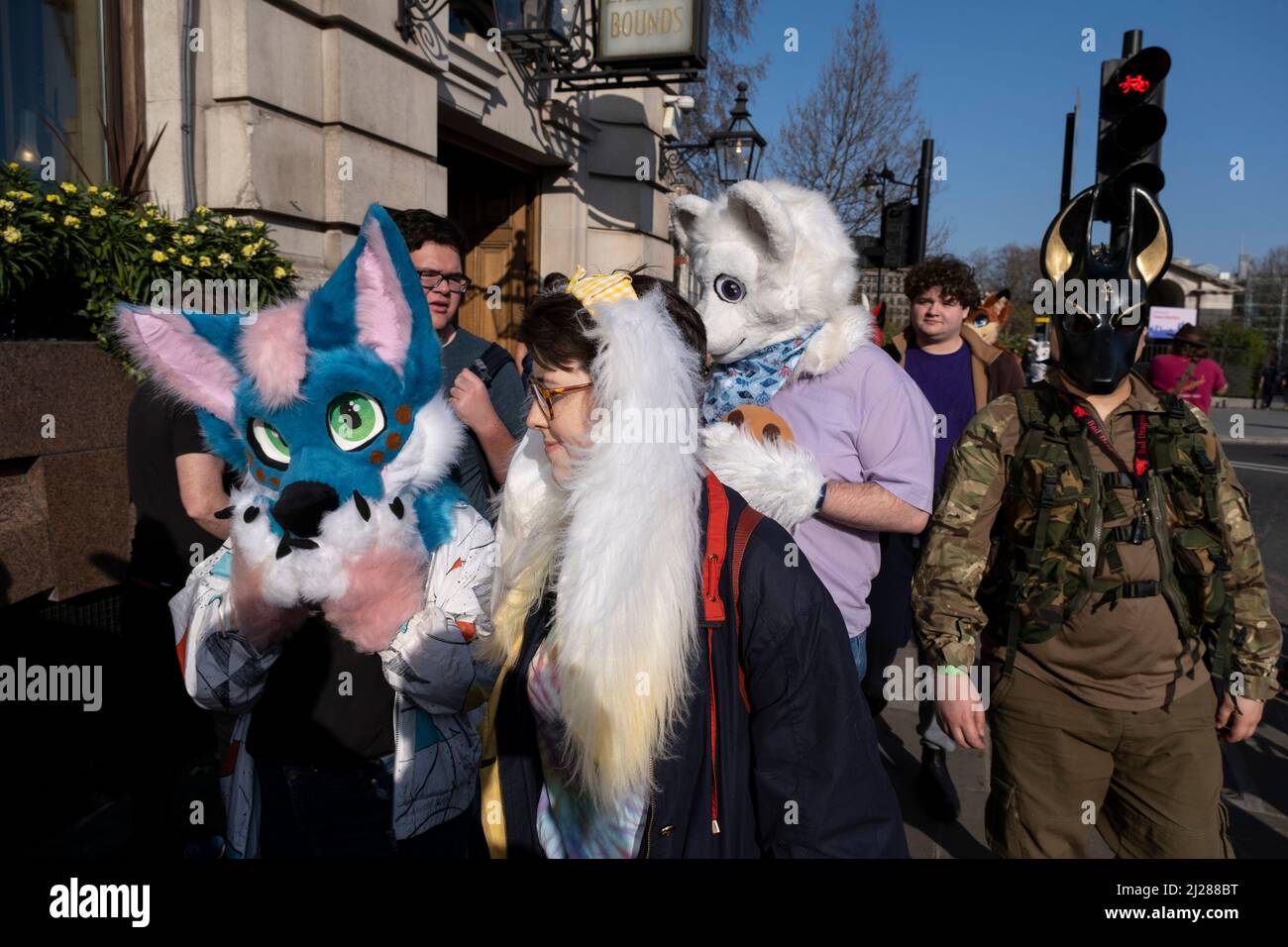 Furry Fandom Costumes