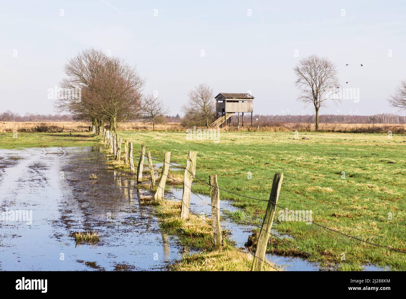 A landscape view of moorland and water at Recker Moor Nature Preserve ...