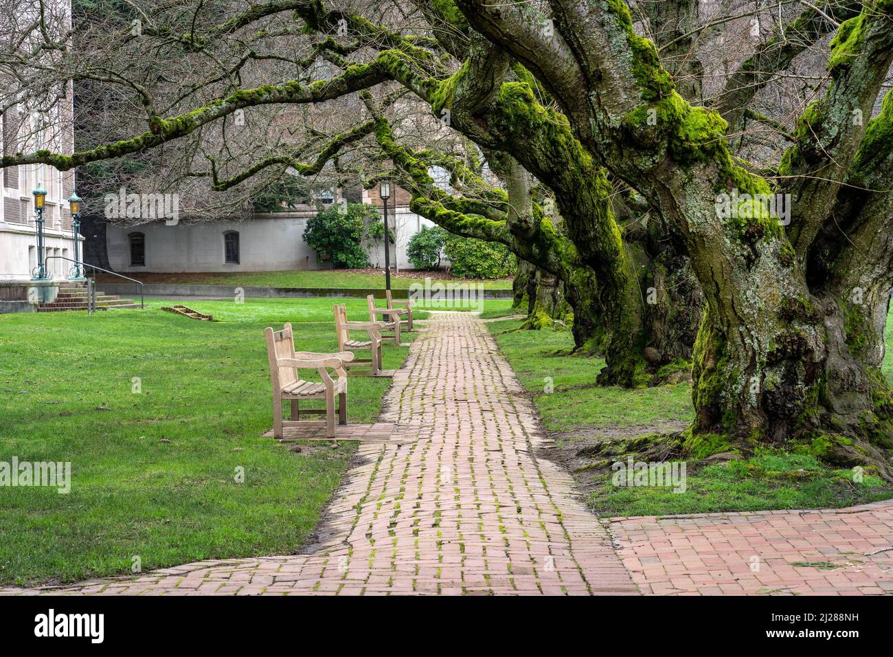 The quad university of washington hi-res stock photography and images ...