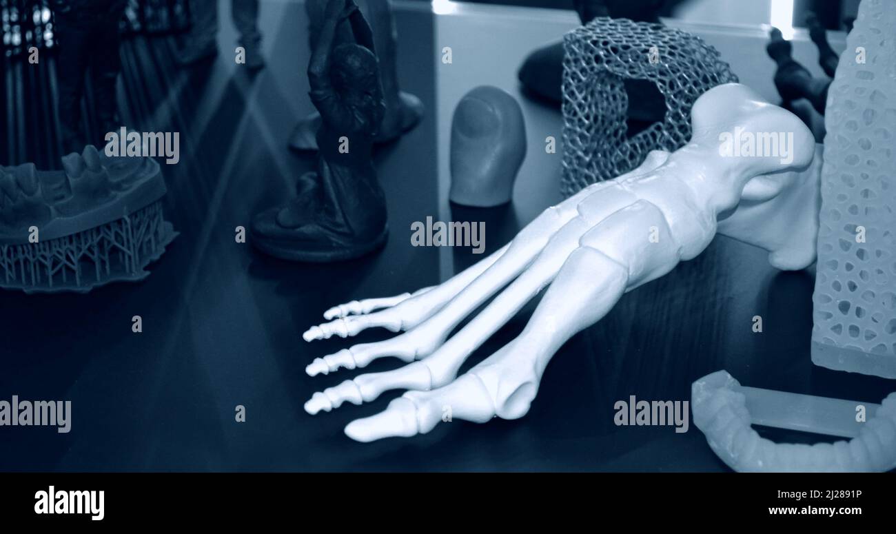 White prototype of the human foot skeleton printed on 3d printer Stock ...
