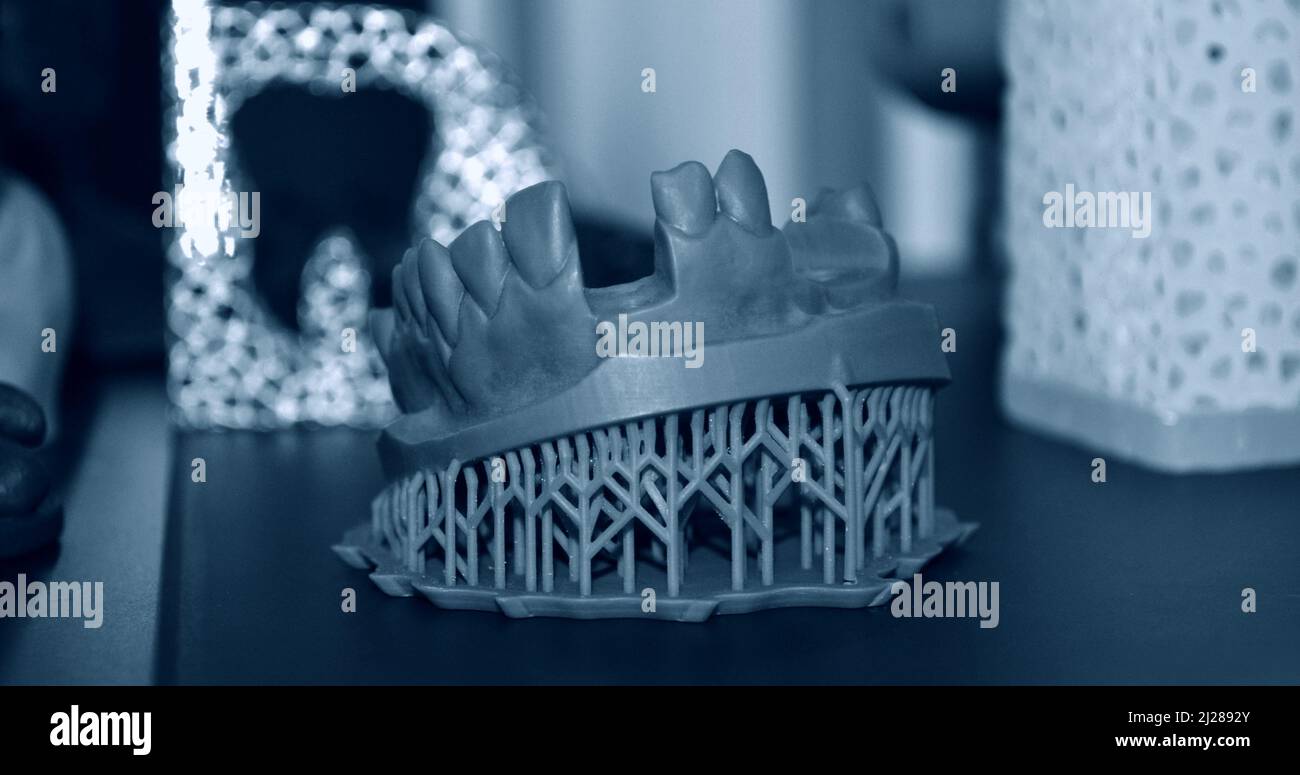 Human lower jaw printed on 3d printer of photopolymer Stock Photo - Alamy