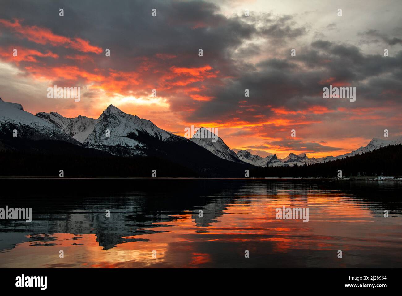 A mesmerizing view of the Bald Hills, Jasper National Park, Alberta ...