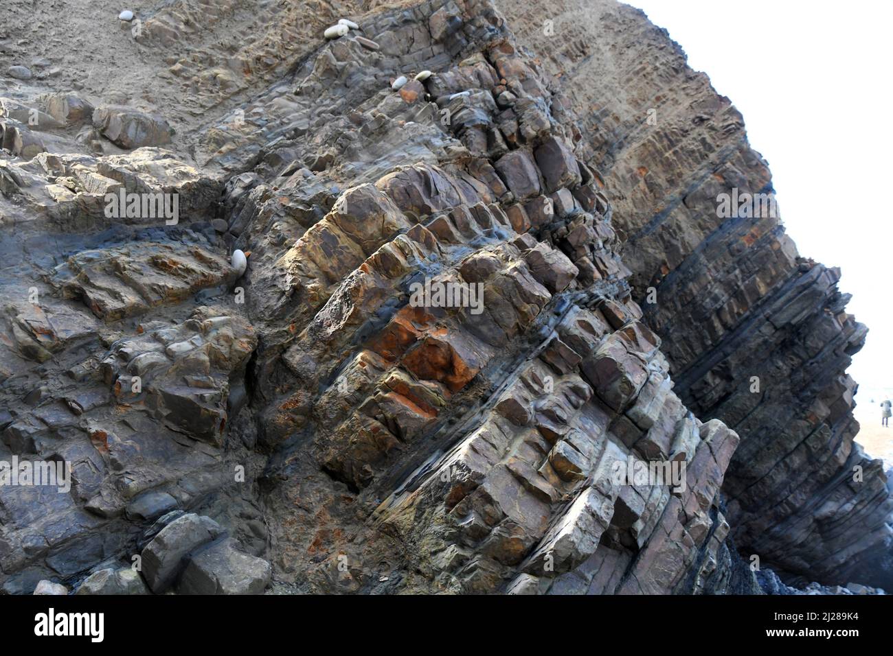 Sedimentary rocks fossils hi-res stock photography and images - Alamy