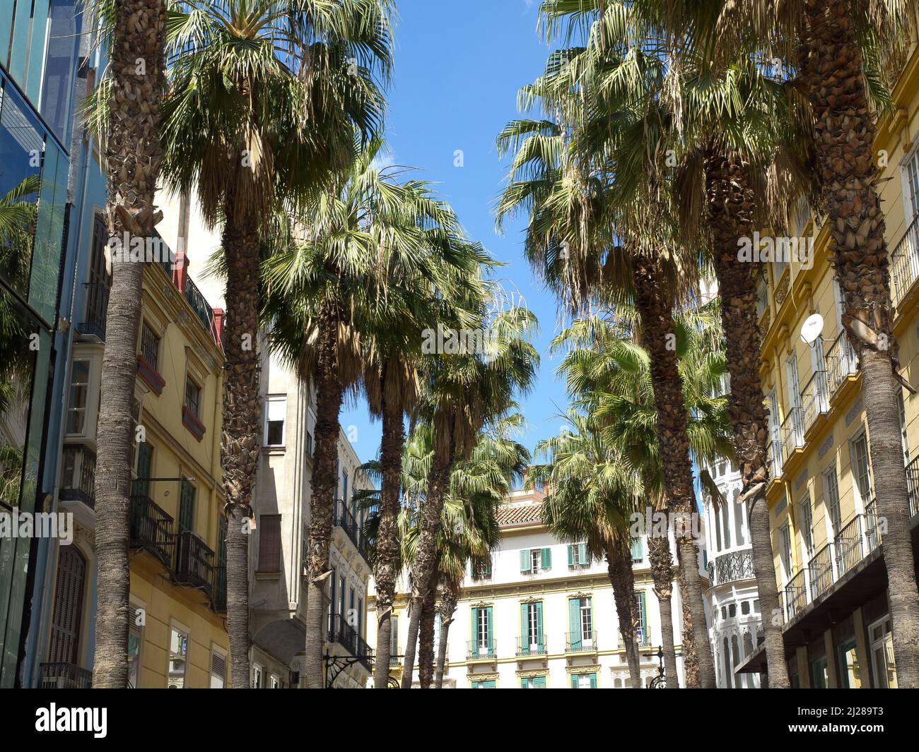 malaga city in spain Stock Photo - Alamy