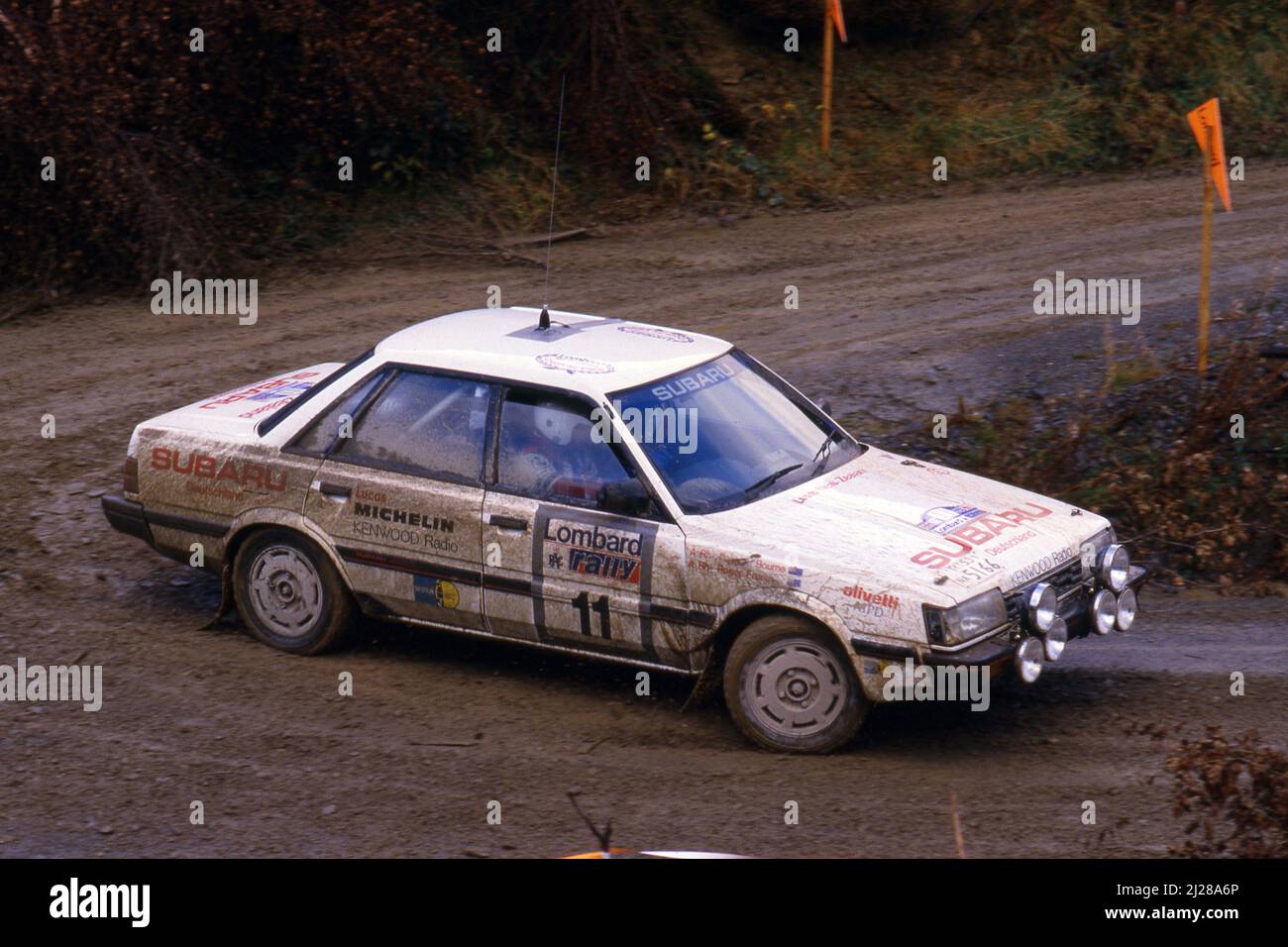 Possum bourne hi-res stock photography and images - Alamy