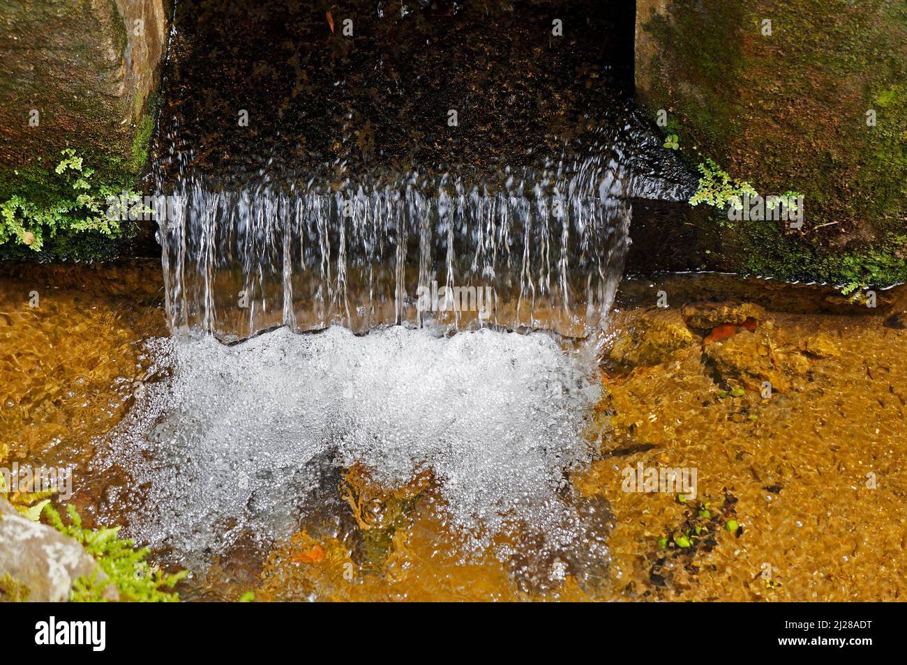 Small waterfall on tropical rainforest, Rio Stock Photo - Alamy