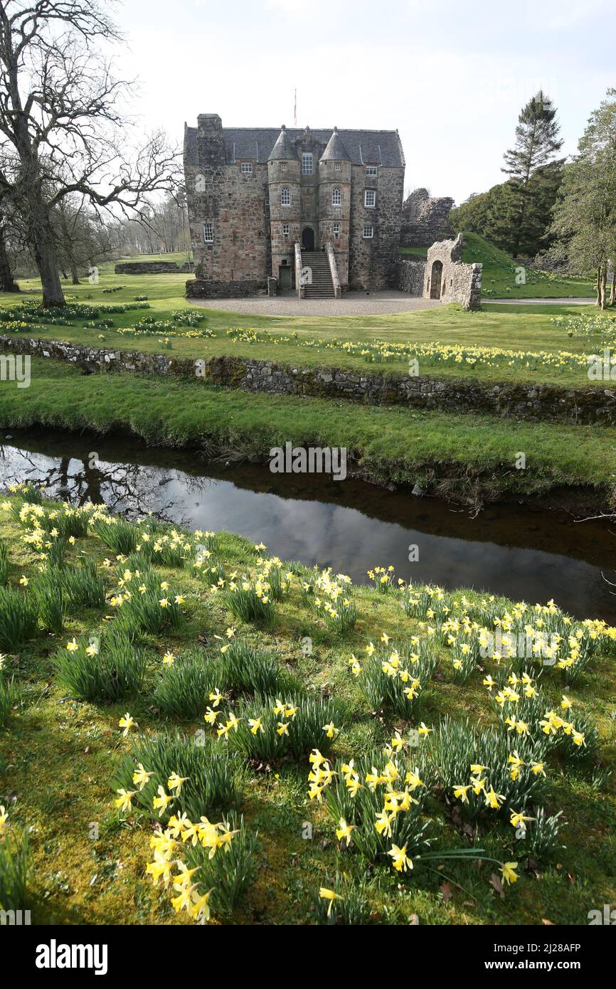 Rowallan Castle, Ayrshire, Scotland, UK . Spring time with a field of ...