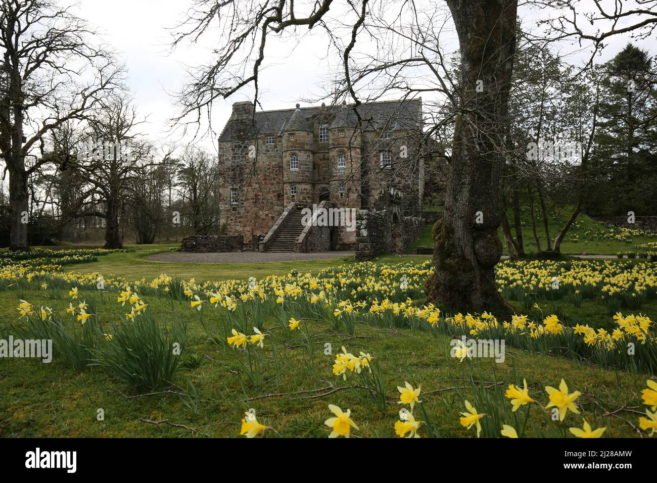 Rowallan Castle, Ayrshire, Scotland, UK . Spring time with a field of ...