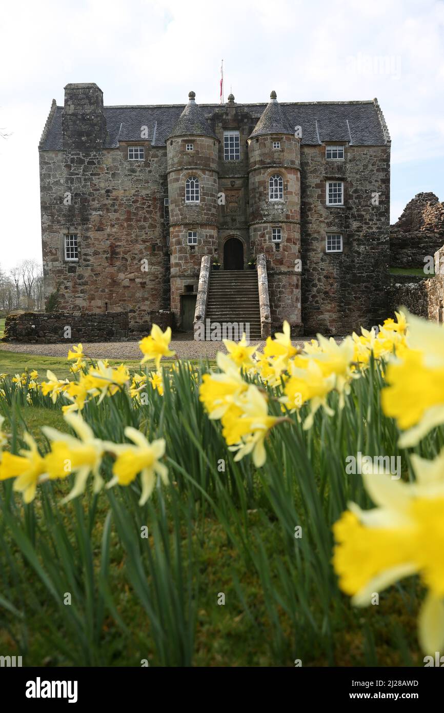 Rowallan Castle, Ayrshire, Scotland, UK . Spring time with a field of ...