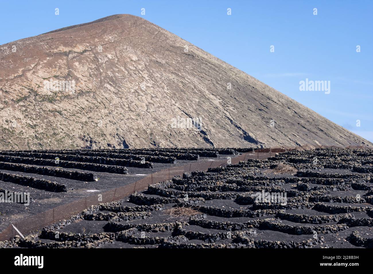 Unusual soil hi-res stock photography and images - Alamy