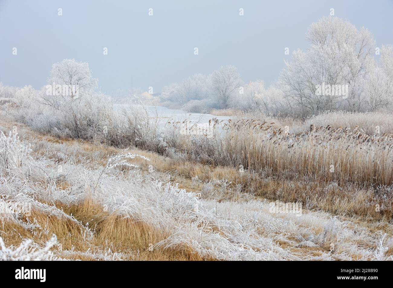 Infrared filter hi-res stock photography and images - Alamy