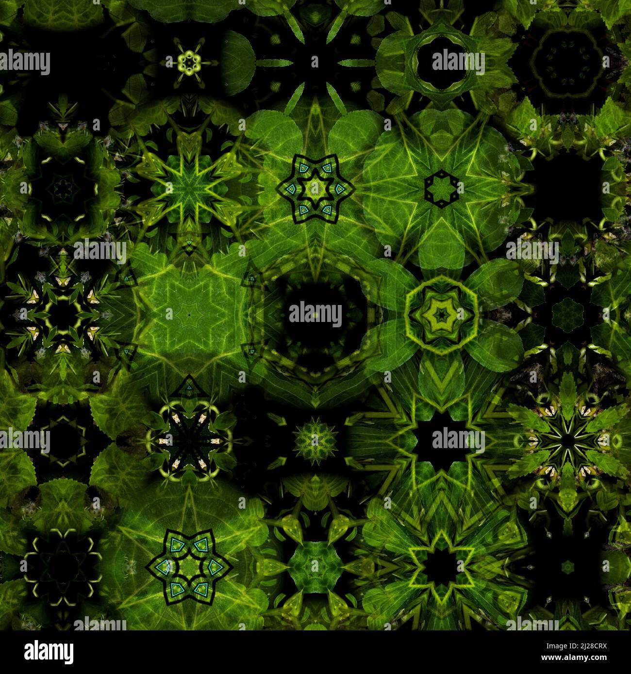 Abstract Computer generated Fractal design. A fractal is a never-ending ...