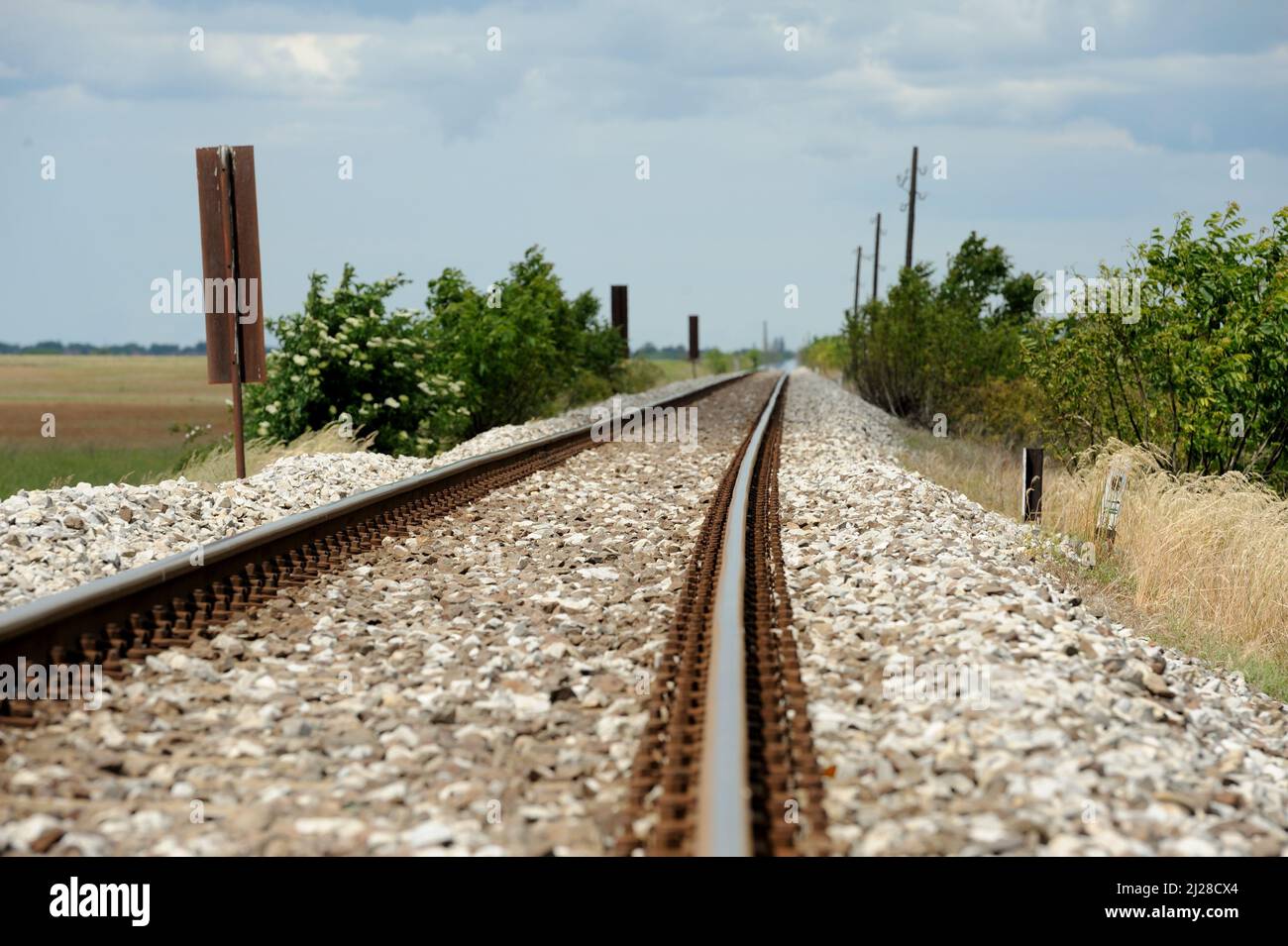 The long metal train tracks with bushes Stock Photo - Alamy