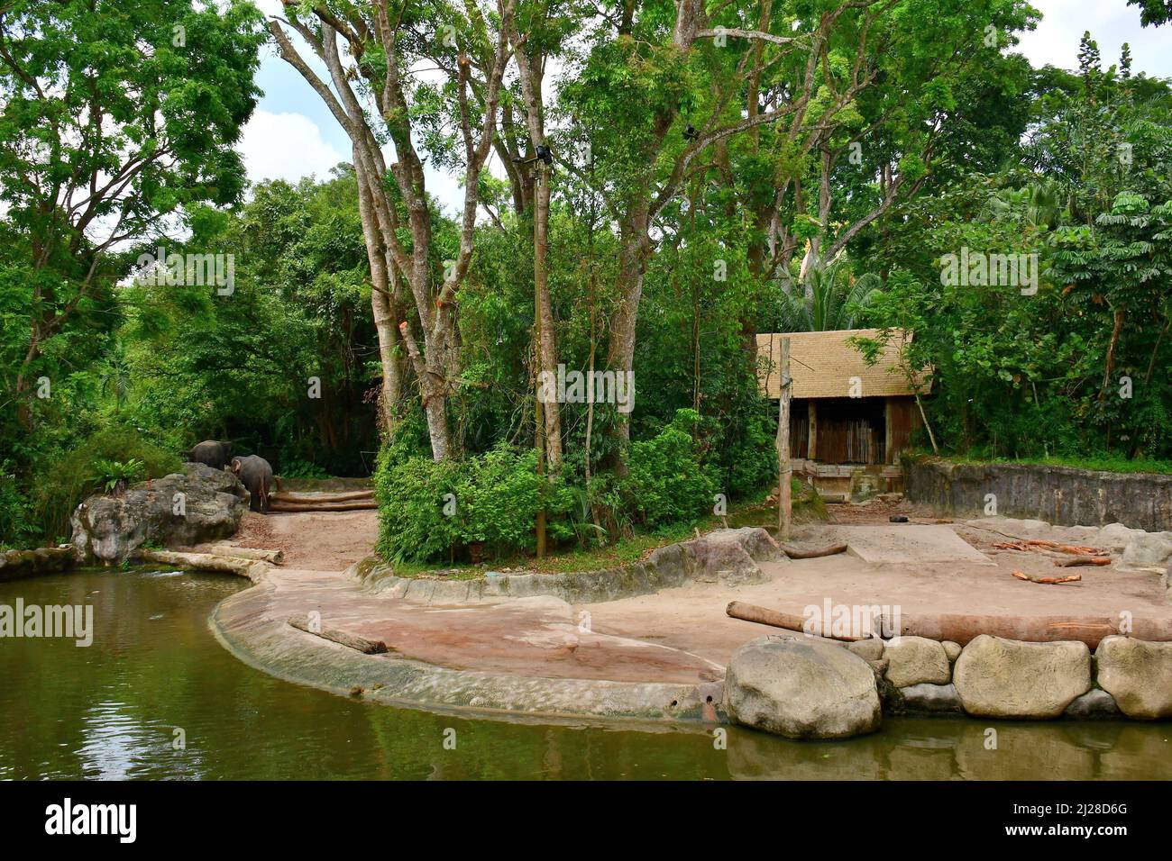 Singapore Zoological Gardens or Mandai Zoo, Singapore, Southeast Asia ...
