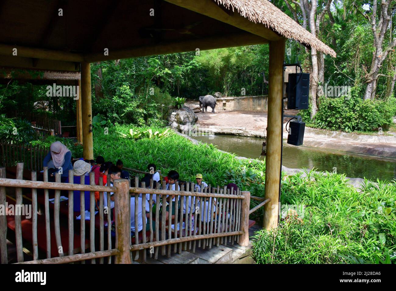 Singapore Zoological Gardens or Mandai Zoo, Singapore, Southeast Asia ...