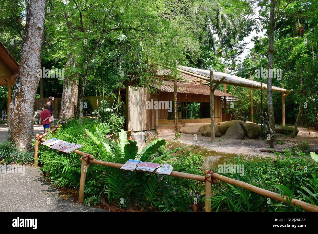 Singapore Zoological Gardens or Mandai Zoo, Singapore, Southeast Asia ...