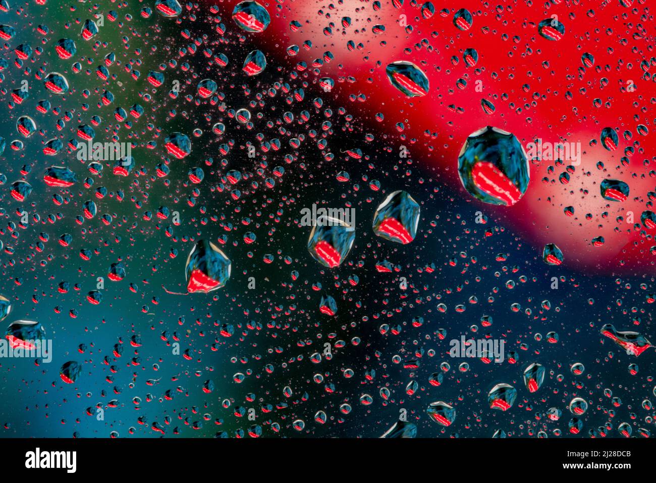 Christmas label reflected in water droplets, creative wrapping Stock ...