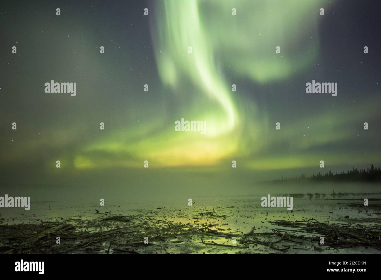 Footner hi-res stock photography and images - Alamy