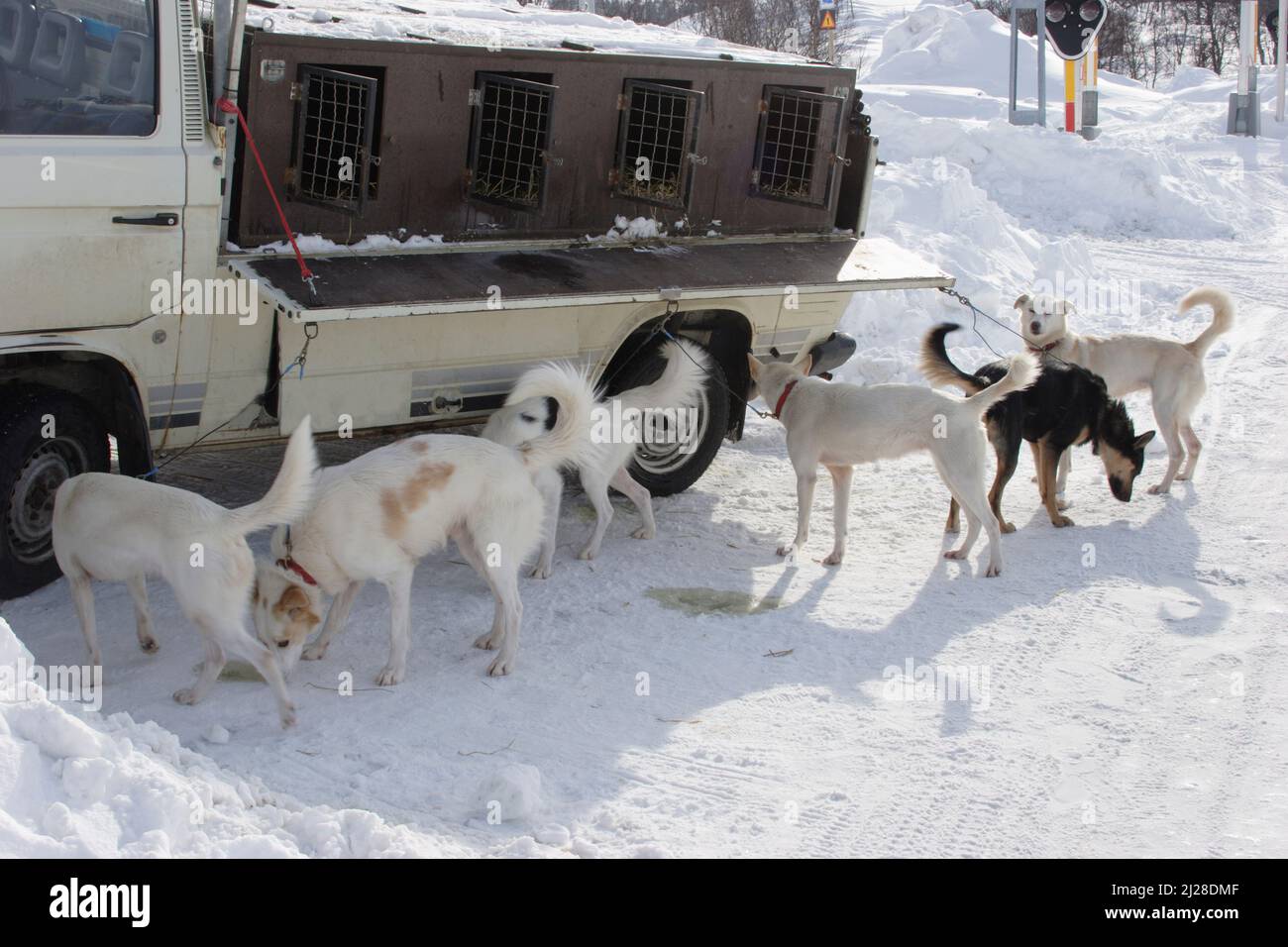 Hundspann hi-res stock photography and images - Alamy