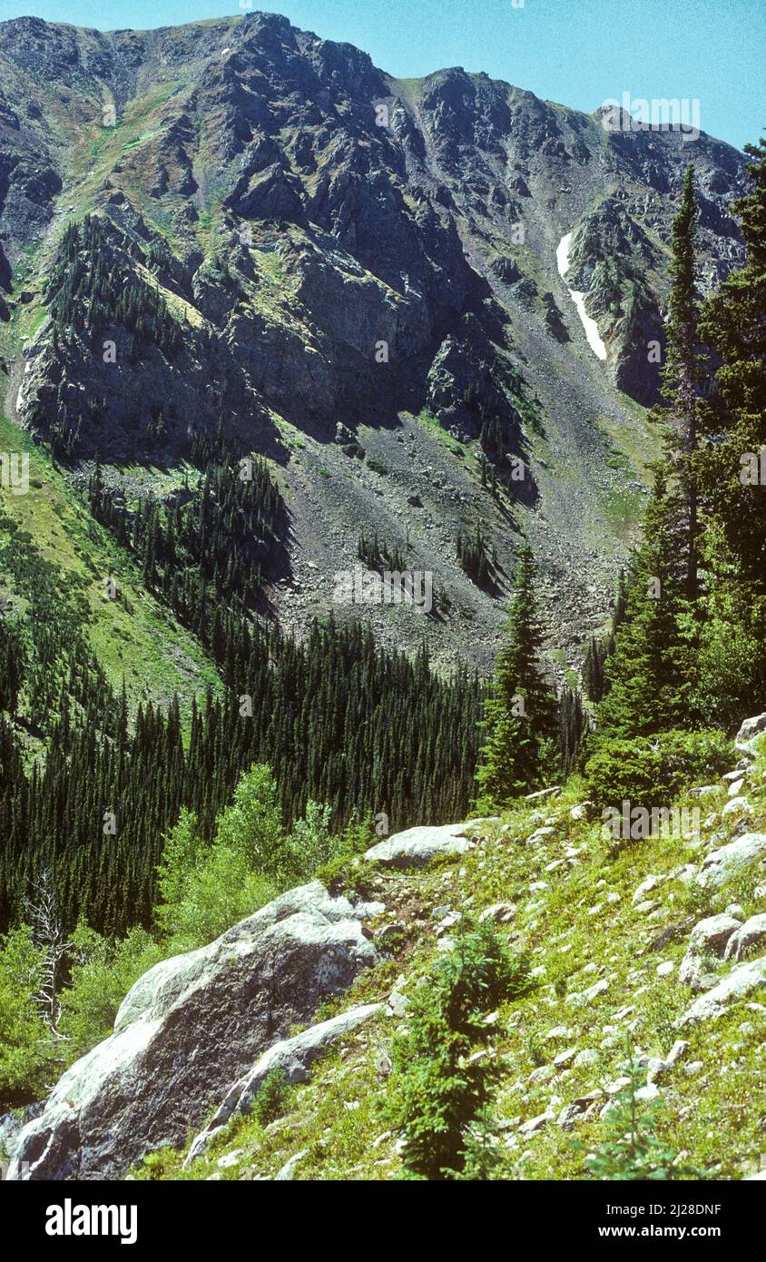 CO: Summit County, Arapahoe National Forest, Rock Creek, Eagle's Nest ...