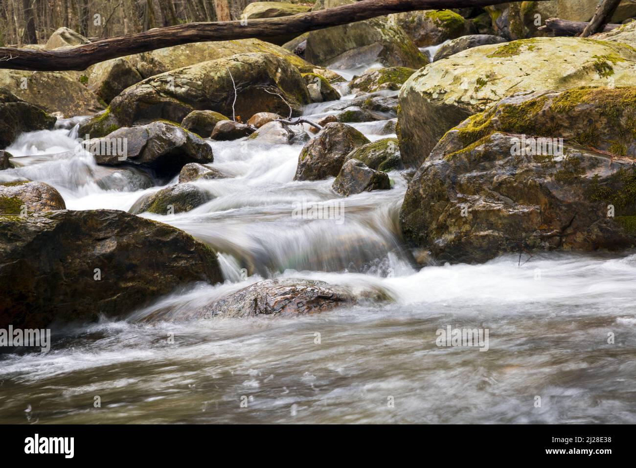 A beautiful flowing rocky stream in a park Stock Photo - Alamy