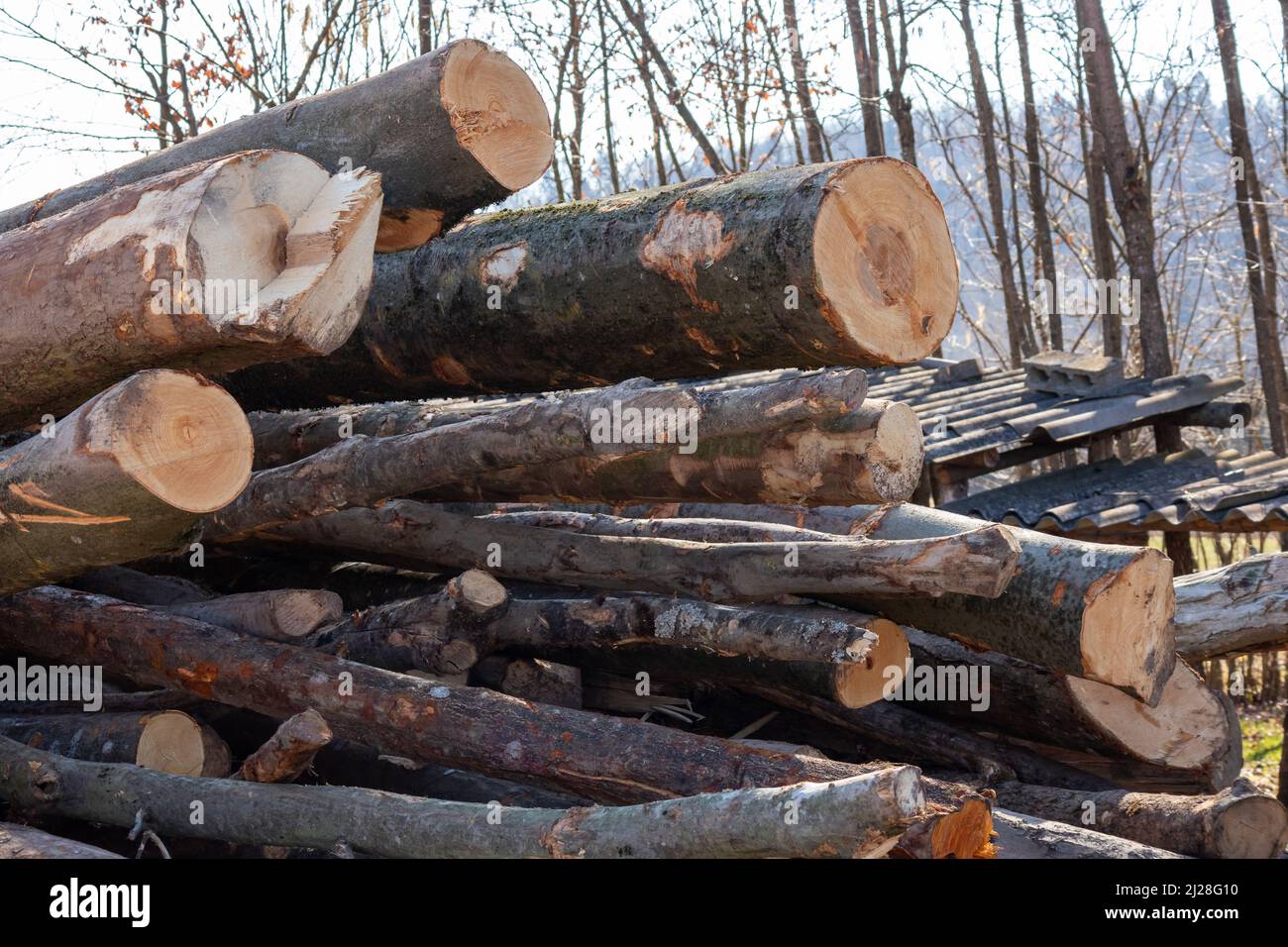 Pile of log trunks, logging timber forest wood industry Stock Photo - Alamy