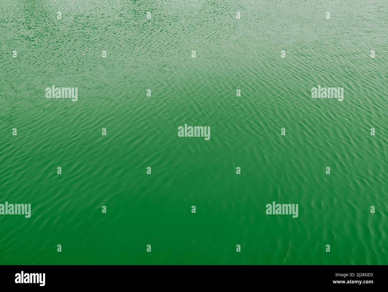 A 3D rendering of a green abstract water surface background Stock Photo ...