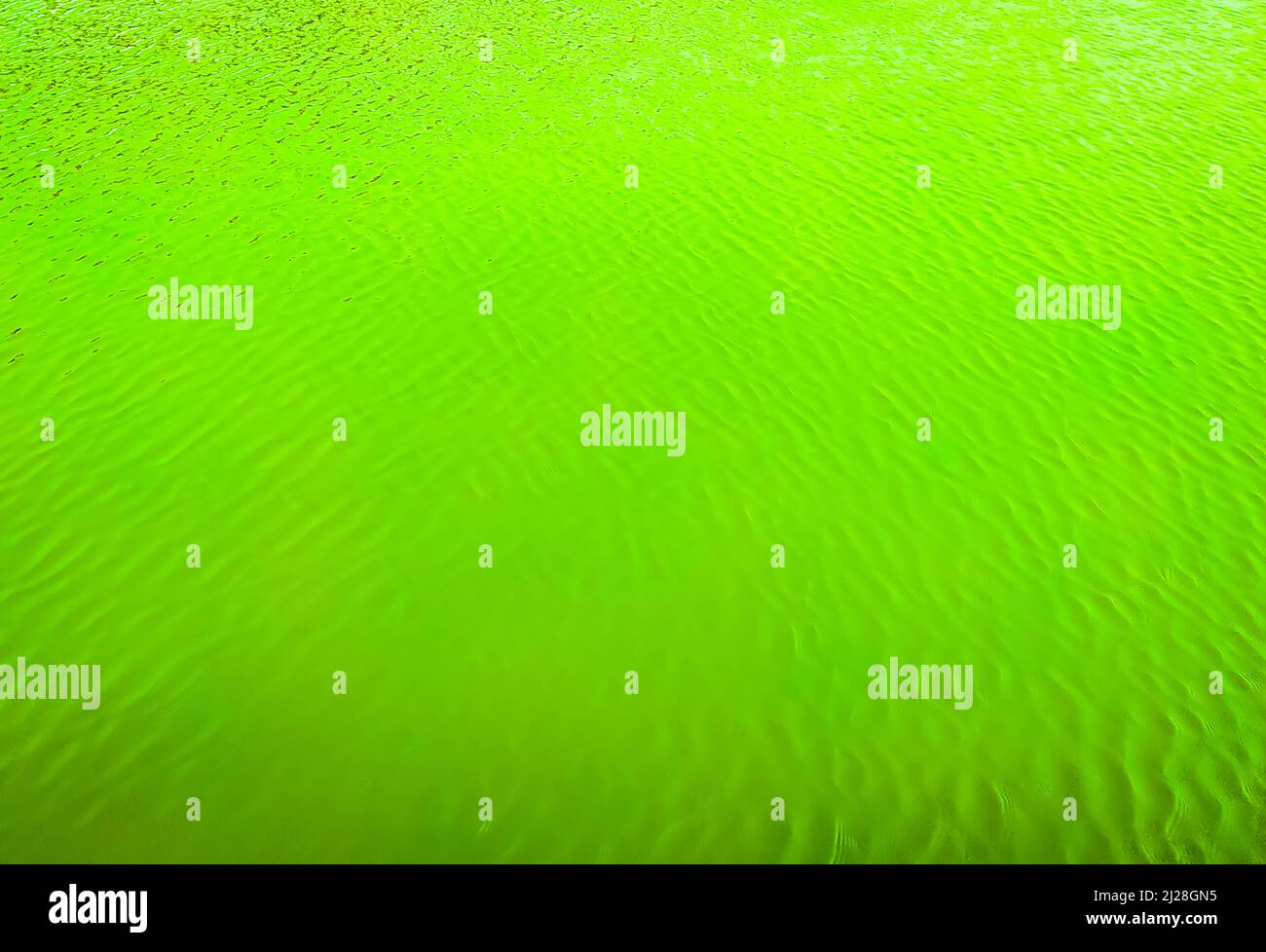 A 3D rendering of an abstract green water background Stock Photo - Alamy