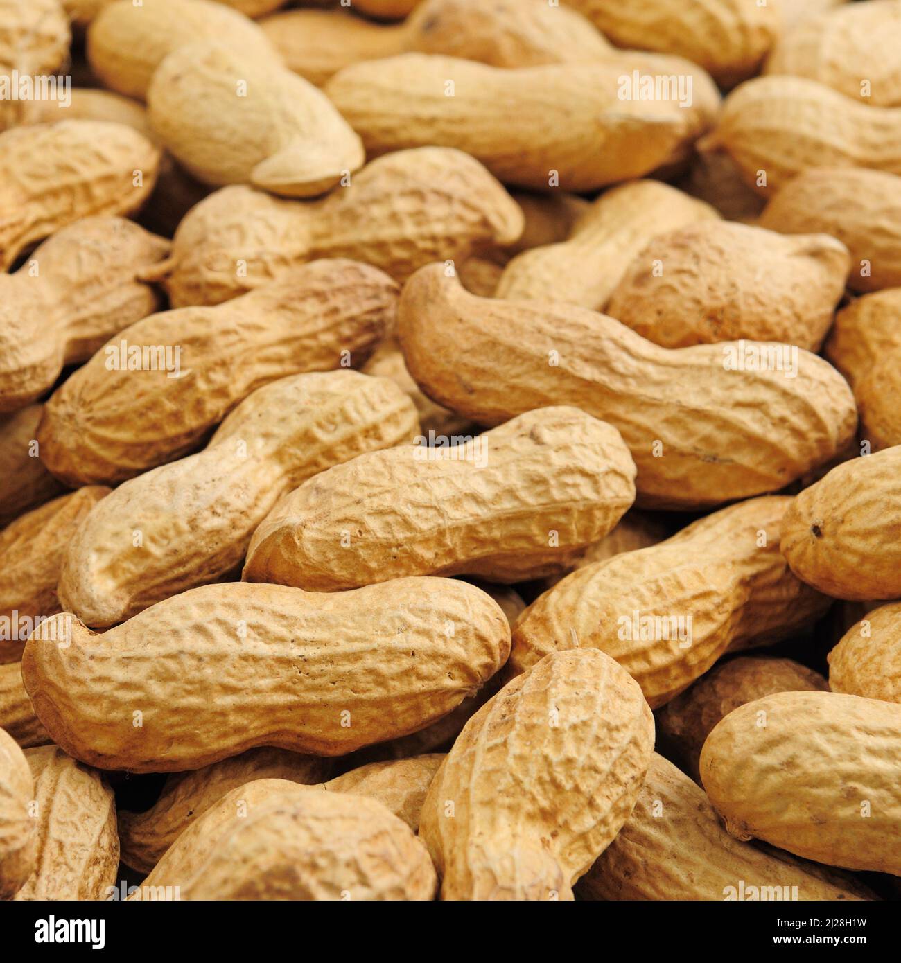 Groundnut hi-res stock photography and images - Alamy
