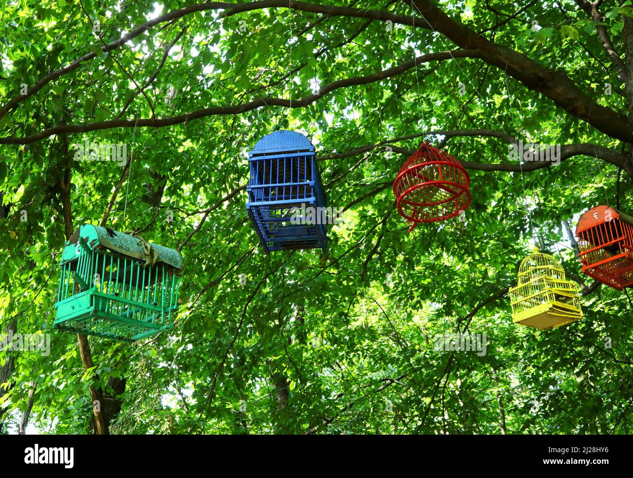 many coloured cages for birds in the forest Stock Photo - Alamy